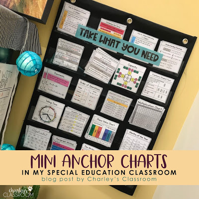 Mini Anchor Charts in my Special Education Classroom - Charley's Classroom