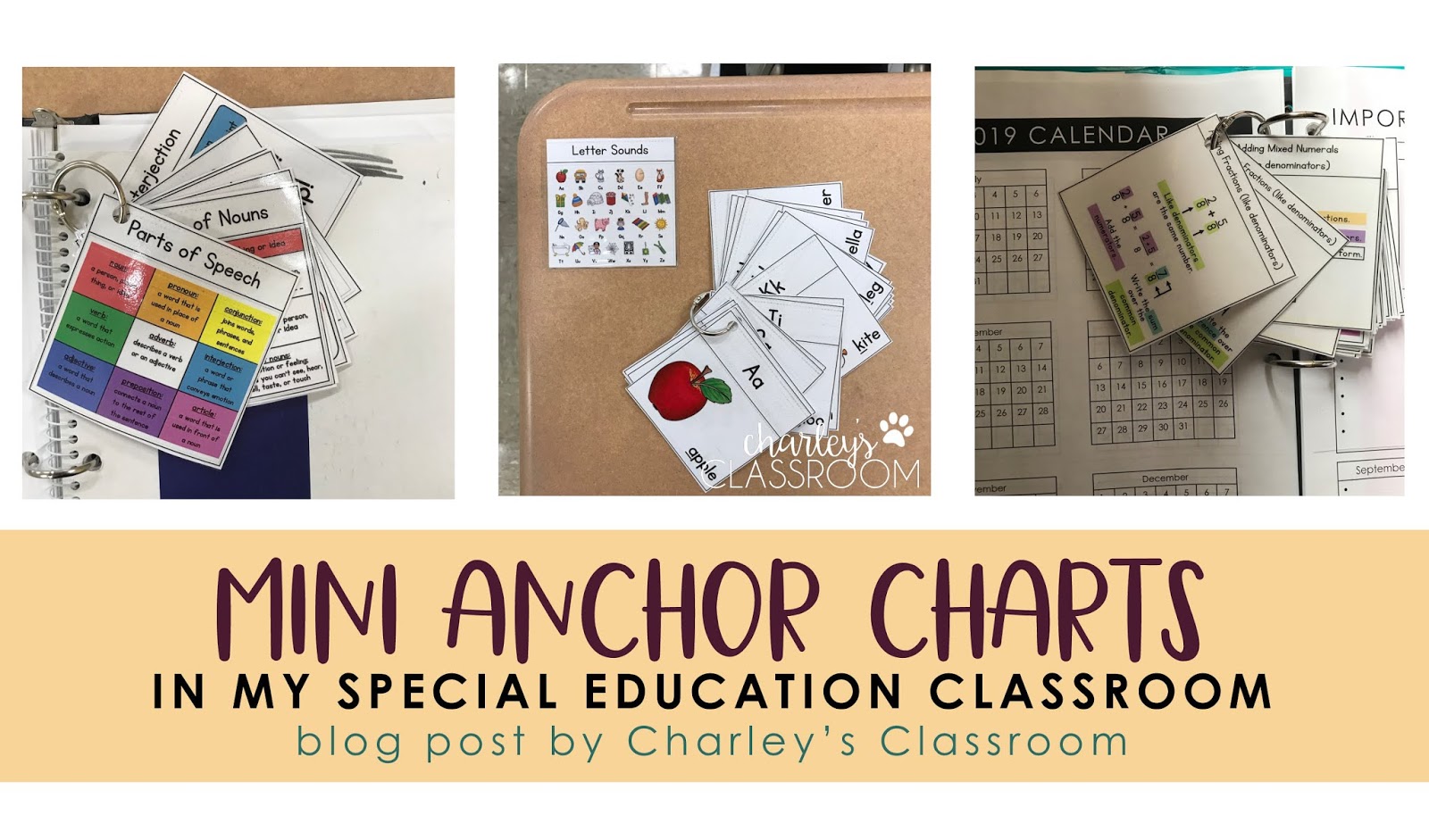 Mini Anchor Charts in my Special Education Classroom - Charley's Classroom